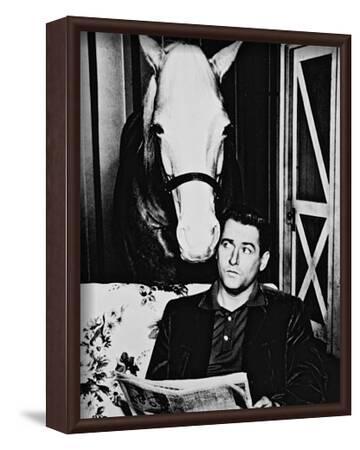 'Mr. Ed' Photo | AllPosters.com