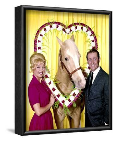 'Mr. Ed' Photo | AllPosters.com