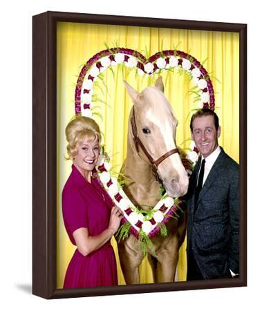 'Mr. Ed' Photo | AllPosters.com