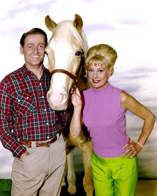 'Mr. Ed' Photo | AllPosters.com