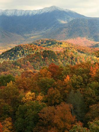 'Mt LeConte above fall foliage, Smoky Mountains, Tennessee, USA ...