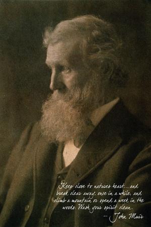 'Muir Woods National Monument, California - John Muir Portrait' Posters ...