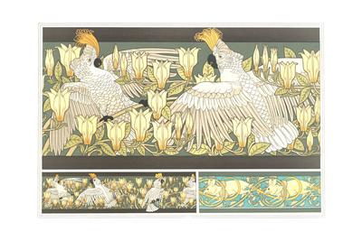 Cockatoos & Cockatiels Posters at AllPosters.com