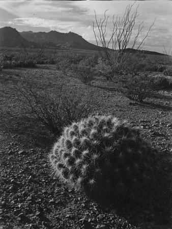 Big Bend National Park Photographic Print - Myron Davis | AllPosters.com