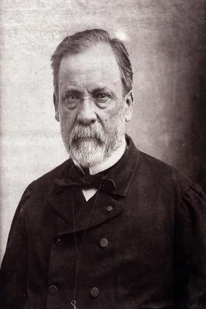 'Portrait of the Scientist Louis Pasteur (1822-1895), 1890 (Photo ...