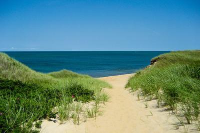 'Nantucket Beach Dunes Photo Poster' Prints | AllPosters.com