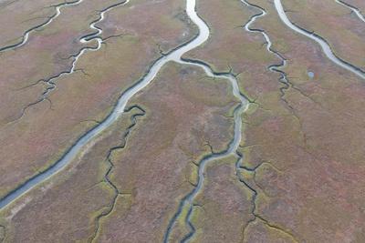 Narrow channels meander through a beautiful estuary in Central ...