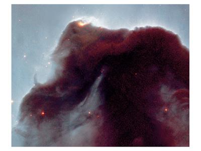 'NASA - The Horsehead Nebula' Posters | AllPosters.com