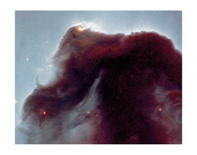 'NASA - The Horsehead Nebula' Posters | AllPosters.com