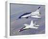 'NASA (X-31 & F-18 In Flight, 1994) Art Poster Print' Print ...