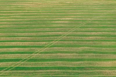 'Natural Green Field Background With Trails Lines. View Top View Of ...