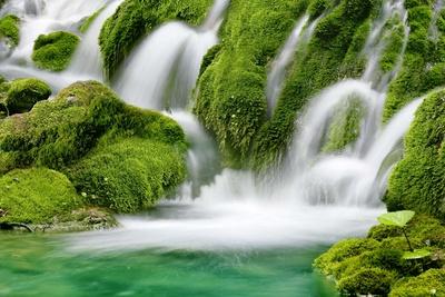 'Natural Spring Waterfall Surrounded by Moss and Lush Foliage ...