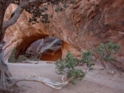 'Navajo Arch, Arches National Park, Utah, USA' Photographic Print ...
