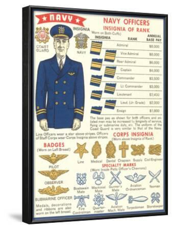 'Naval Insignia Chart' Posters | AllPosters.com