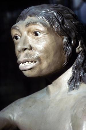 'Neanderthal Woman: Reconstruction at British Museum, National History ...