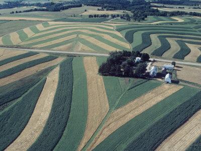 'Neat, Swirling Furrows, Contour Plowed across Gently Rolling Fields of ...