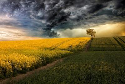 Stormy Weather Photographic Print - Nick Brundle Photography ...