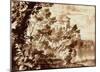 'Nicolas Poussin (Landscape with trees and tower) Art Poster Print ...