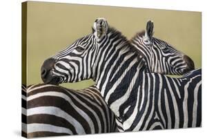 Nigel Pavitt Posters, Prints, Paintings & Wall Art | AllPosters.com