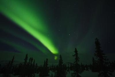 'Northern Lights in the Alaska Sky, Alaska, USA' Photographic Print ...