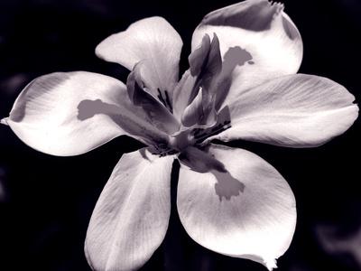 'Object and shadows photography' Photographic Print - Alex Caminker ...