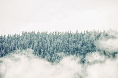 'Obscure Scene' Giclee Print - Florian Schleinig | AllPosters.com