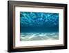 'Ocean Bottom, View Beneath Surface' Photographic Print - Cico ...