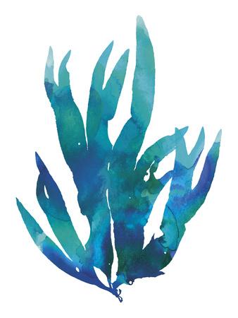 'Ocean Feather IV' Giclee Print | AllPosters.com
