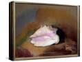 'The Shell. Pastel Painting by Odilon Redon (1840-1916), 1912. Dim: 0. ...