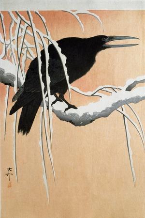 A Raven on a Snowy Branch. 1910 (Xylography and Japanese Print) Giclee ...