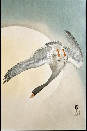 Flight of Duck in Moonlight. 1908 (Xylography and Japanese Print ...