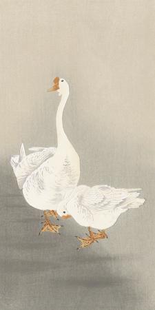 'Two Geese - Peck' Giclee Print - Ohara Koson | AllPosters.com