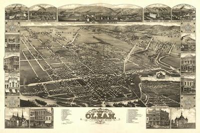 'Olean, New York - Panoramic Map' Art - Lantern Press | AllPosters.com