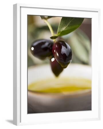 'Olive Sprig with Black Olives over Bowl of Olive Oil' Photographic ...