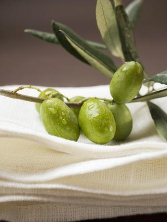 'Olive Sprig with Green Olives on Linen Cloth' Photographic Print ...