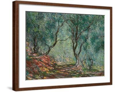 'Olive Trees in the Moreno Garden, 1884' Giclee Print - Claude Monet ...