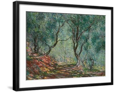 'Olive Trees in the Moreno Garden, 1884' Giclee Print - Claude Monet ...