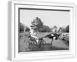 Oliver W., the Famous Trotting Ostrich at Florida Ostrich Farm ...