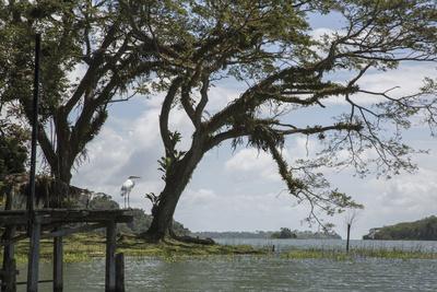 'Omoa' Giclee Print - Andrew Geiger | AllPosters.com