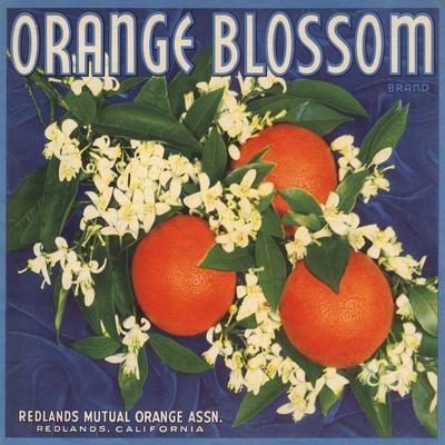 'Orange Blossom Brand - Redlands, California - Citrus Crate Label ...
