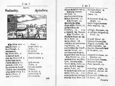'Orbis Pictus, Farming' Prints | AllPosters.com
