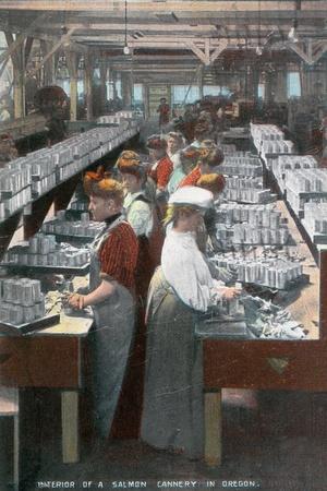 'Oregon - Interior View of Salmon Cannery Workers Canning' Print ...