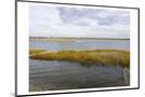 Winter Marsh Photographic Print - Orlando | AllPosters.com