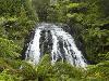 'Owharoa Falls, Karangahake Gorge, Waikato, North Island, New Zealand ...