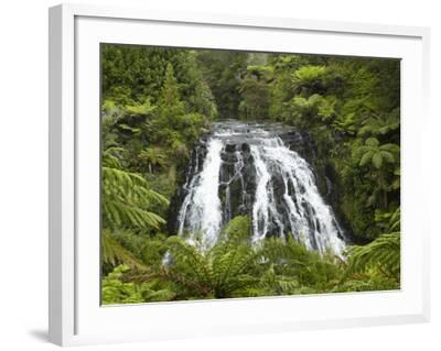 'Owharoa Falls, Karangahake Gorge, Waikato, North Island, New Zealand ...
