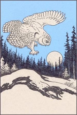'Owl Chasing Mouse' Posters | AllPosters.com
