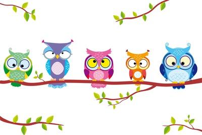 'Owl Five' Posters - Julka | AllPosters.com