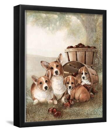 'Pack of Corgis (Apples) Art Print Poster' Posters | AllPosters.com