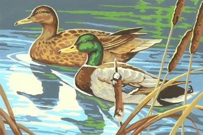 'Paint by Numbers, Ducks Number One' Poster | AllPosters.com