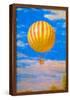 'Pal Szinyei Merse The Balloon Art Print Poster' Posters | AllPosters.com